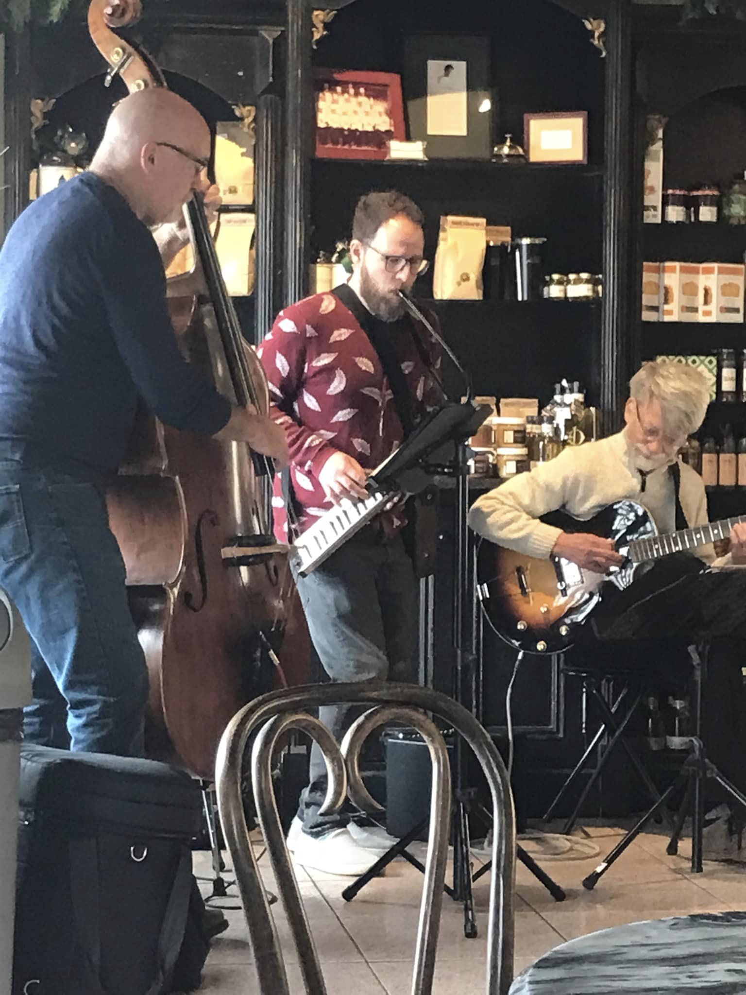 Roots Sept Salon with Peter Swenson Jazz Trio