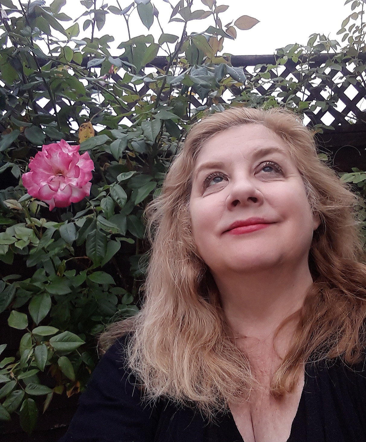 Special Edition: Legacy Storytelling